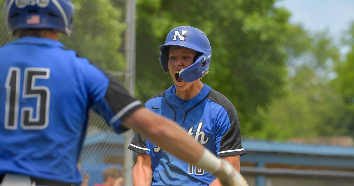 Baseball: Kane County Chronicle 2024 season preview capsules – Shaw Local