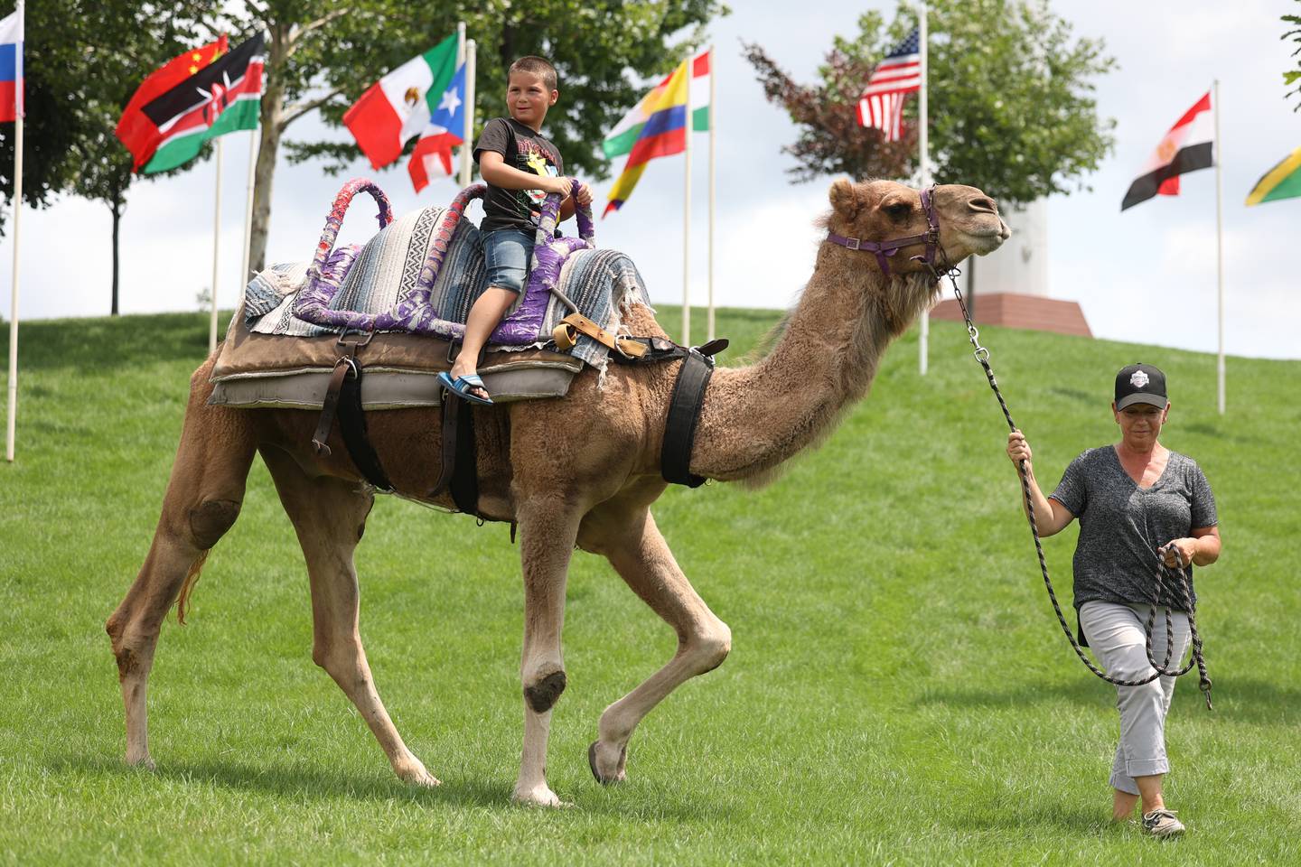 Bolingbrook International Festival brings ‘flavors from around the ...