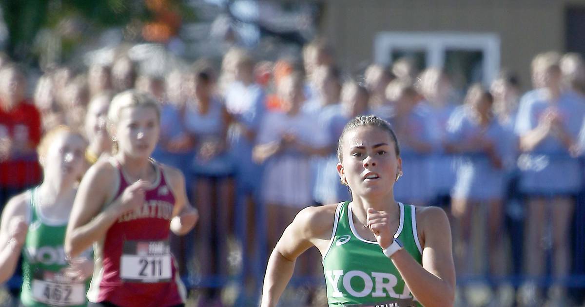 Suburban Life Girls Cross Country Runner of the Year: York’s Michaela ...