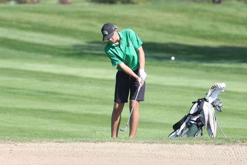 Photos: Lemont Class 2A Boys Golf Sectional – Shaw Local