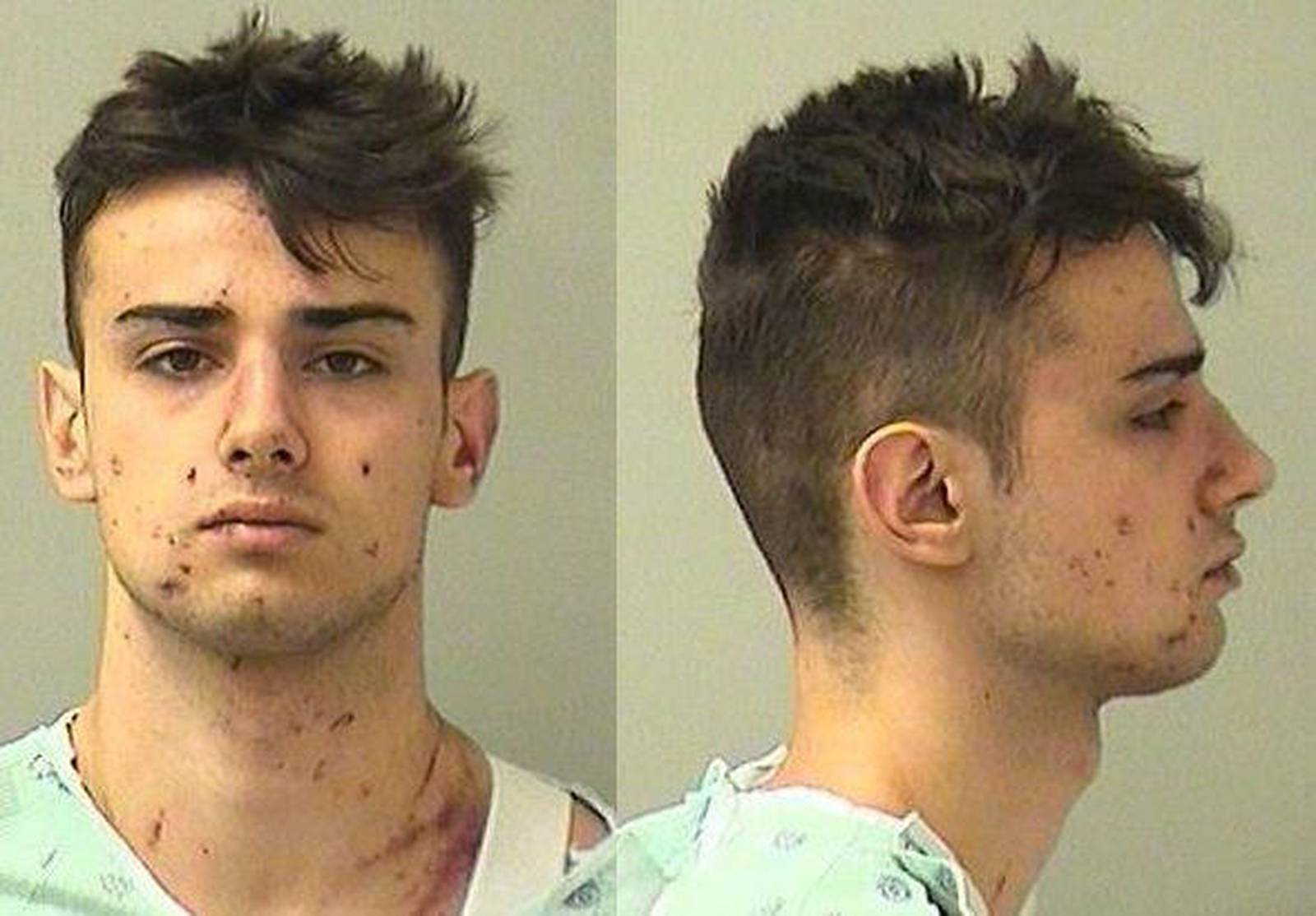 Peruzza sentenced to 8 years in Geneva DUI death – Shaw Local