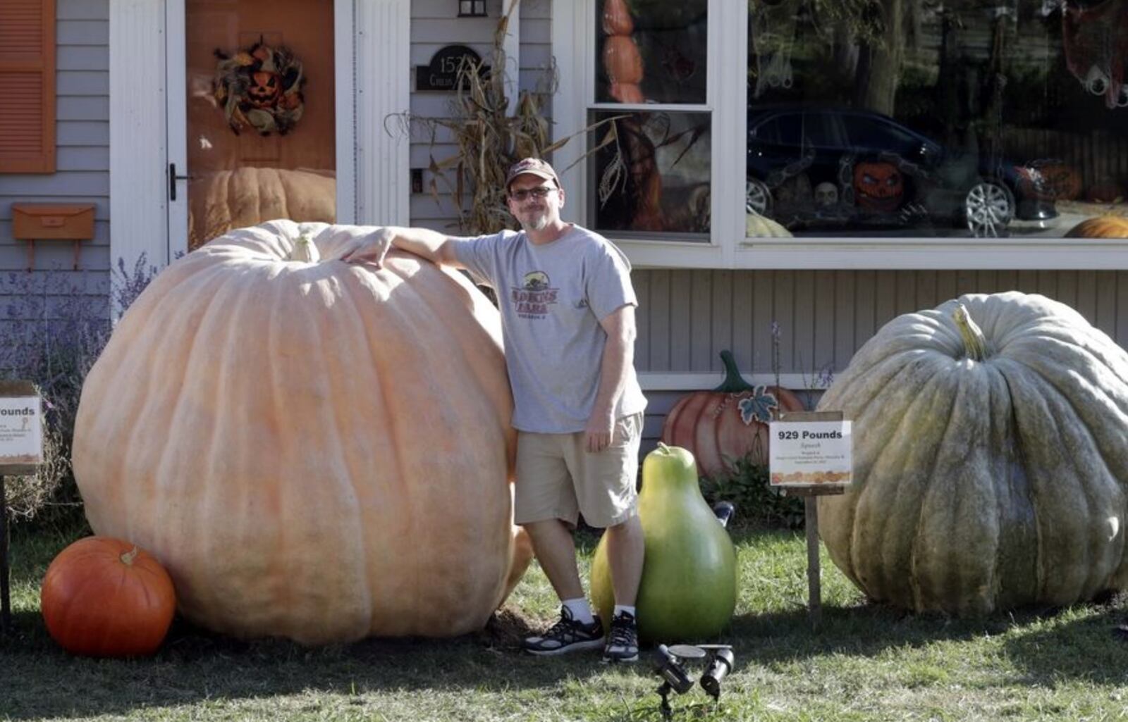 Wheaton man is the best giant-pumpkin grower in Illinois, but he wants ...