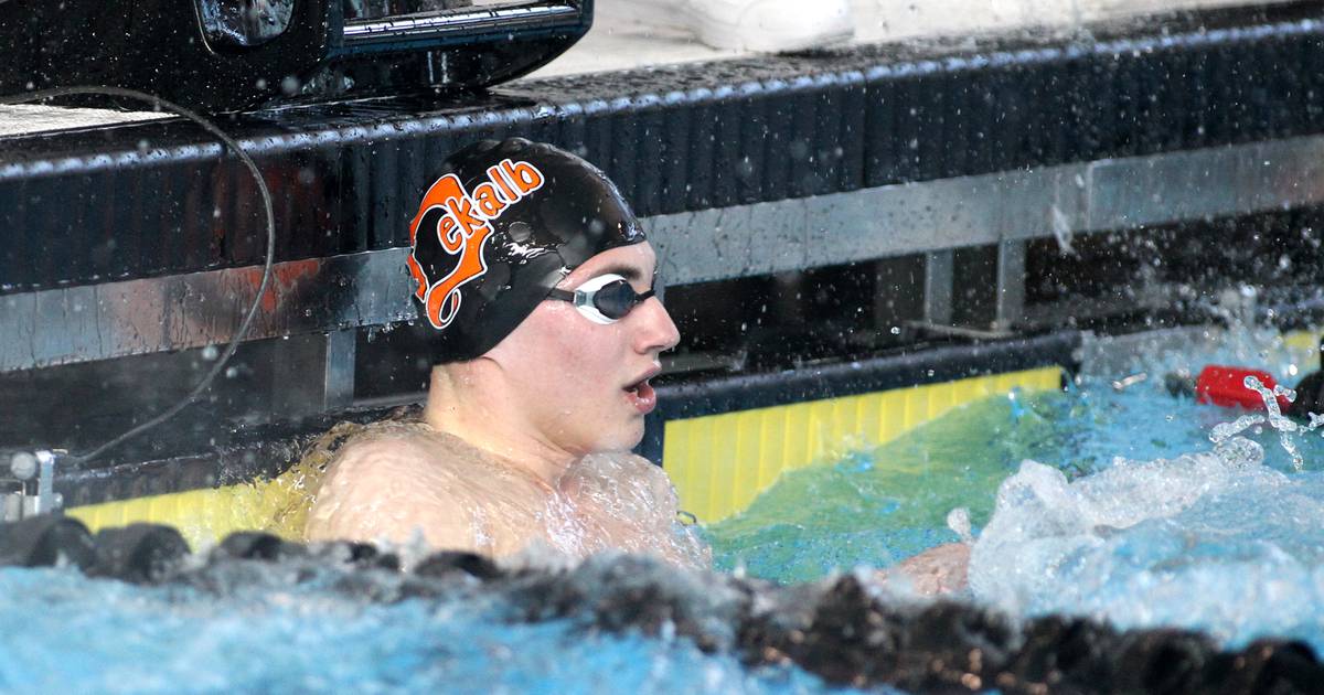 2022 Daily Chronicle Boys Swimmer of the Year: DeKalb-Sycamore co-op’s ...
