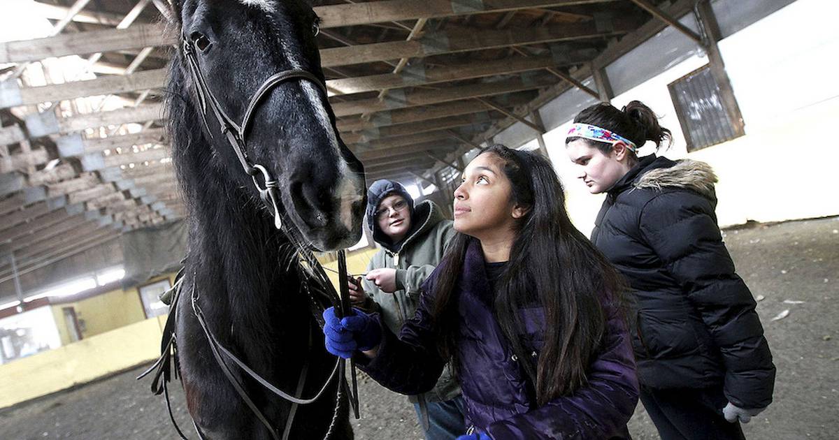 Wauconda farm animals, visitors brave the cold – Shaw Local
