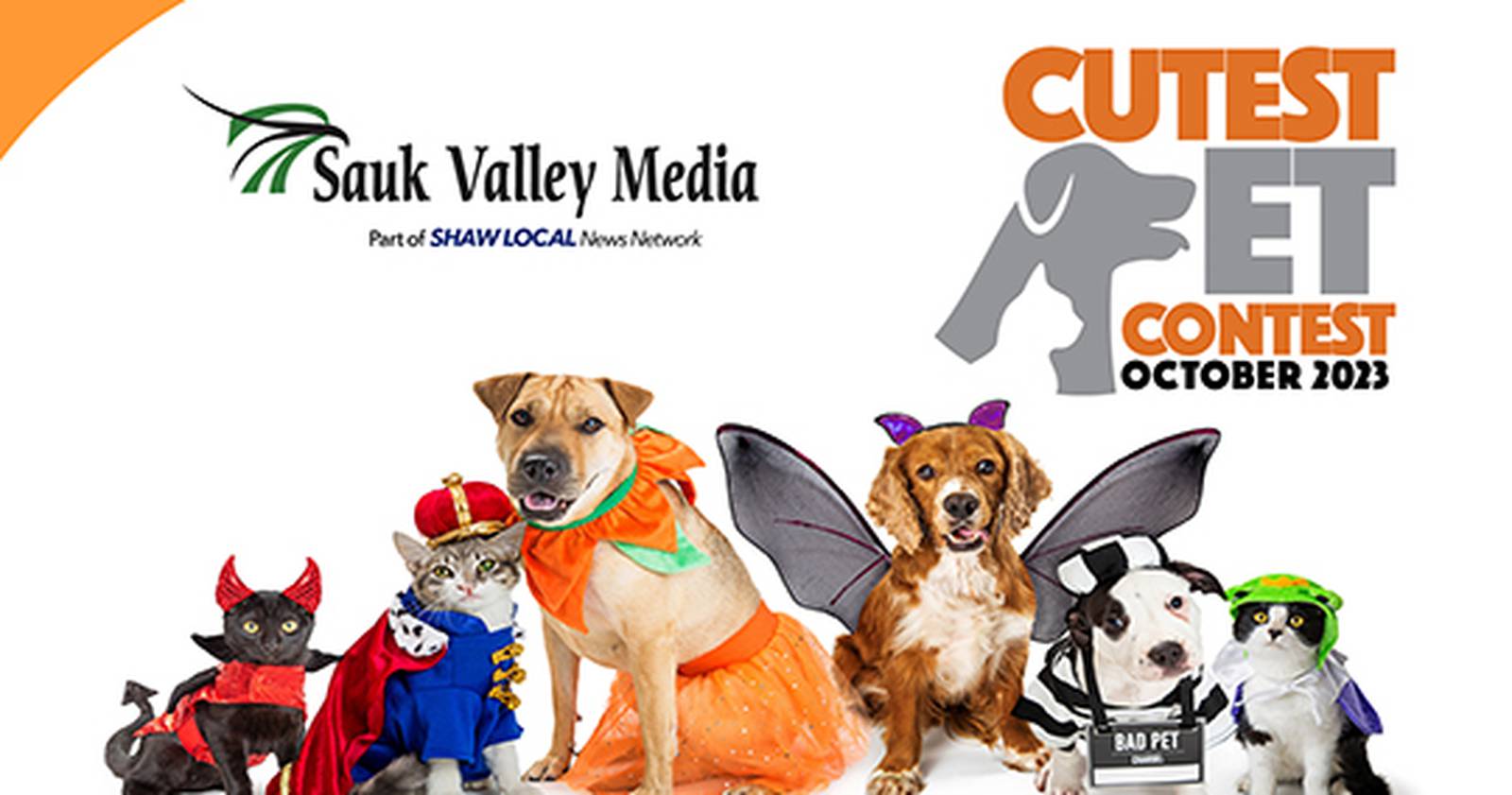 Vote in Sauk Valley’s October Cutest Pet Contest today! – Shaw Local