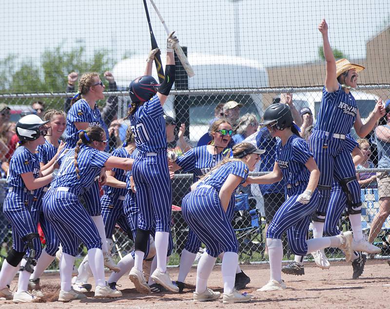 Photos: Class 1A Dwight Sectional Softball- Newark vs Woodland/Flanagan ...