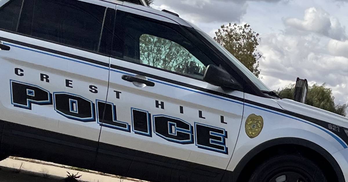 Crest Hill police launch 4th of July campaign targeting impaired ...