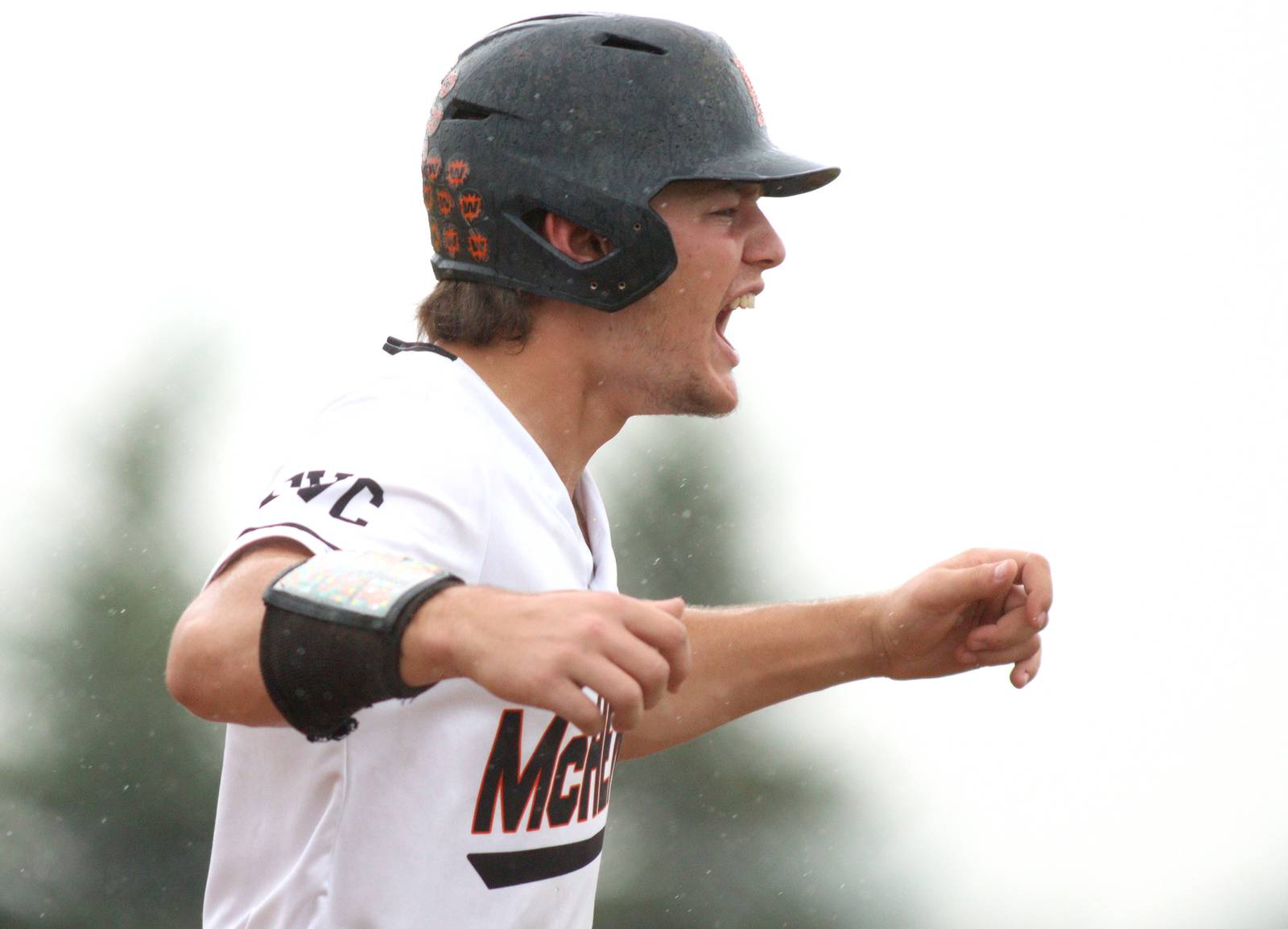 Baseball: McHenry leads Huntley in suspended Class 4A Hampshire ...
