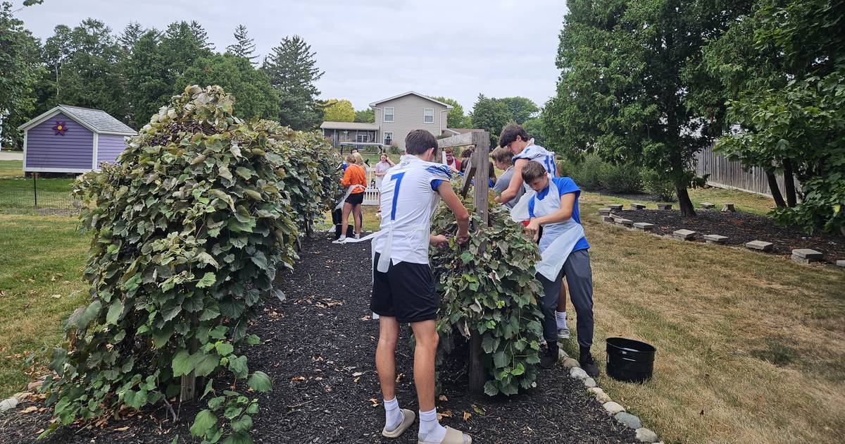Princeton High School foods class uses local, historic grapes to create ...