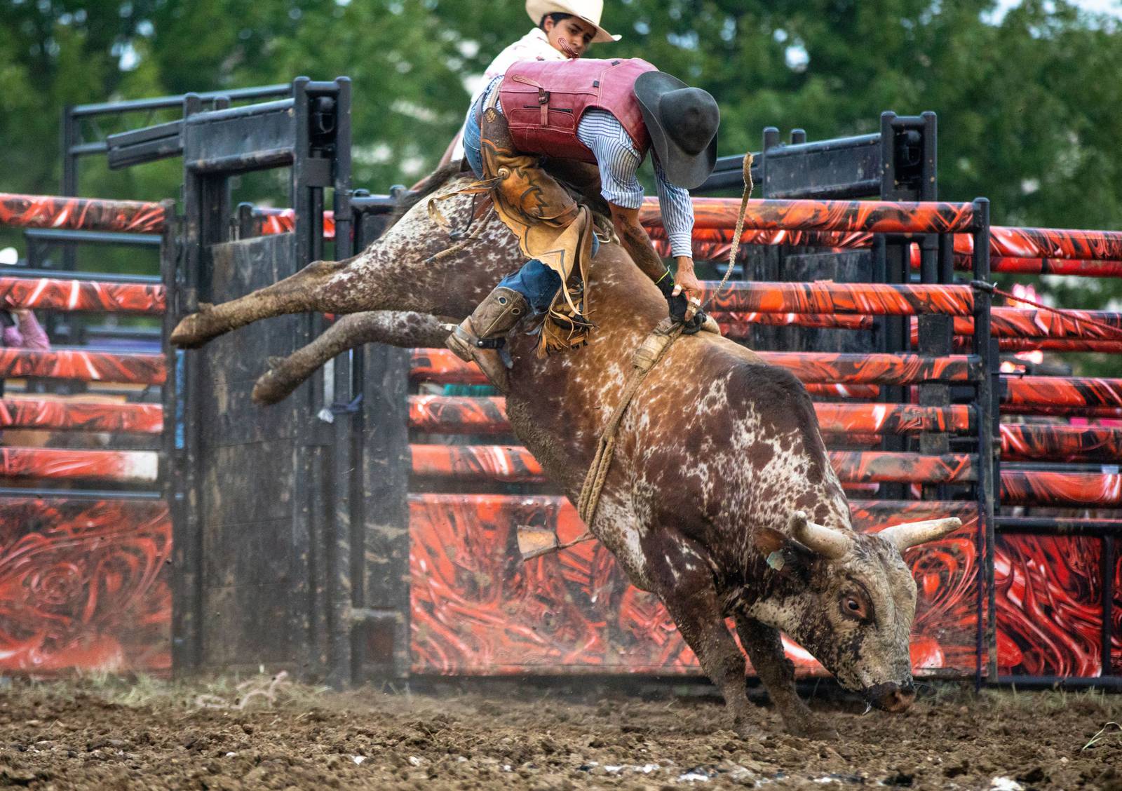 5 Things to Do: Kane County Fair in Kane County – Shaw Local