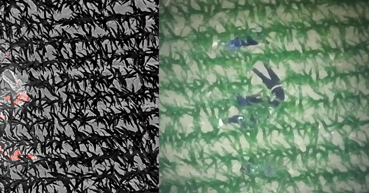 Juveniles arrested following car chase – Shaw Local