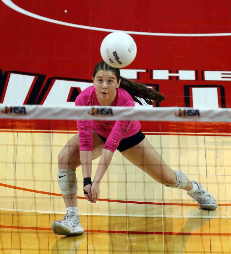 Photos: Nazareth vs. St. Francis in 3A girls volleyball championship ...