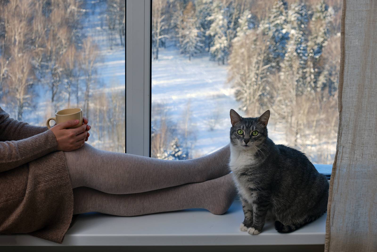 Humidification in the Home: Benefits During a Cold, Dry Winter – Shaw Local