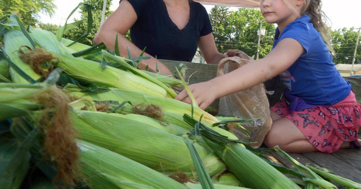Sweet corn vendor lasts through the decades for Pike family – Shaw Local