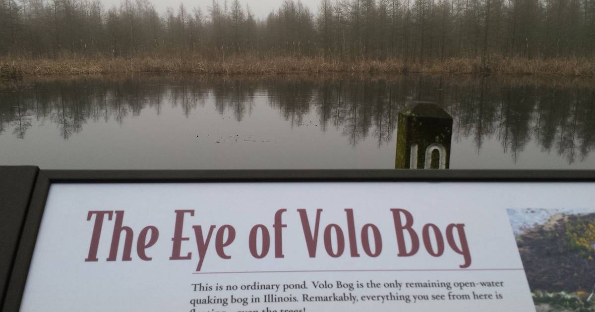‘Delayed far too long’: Volo Bog natural area among state sites ...