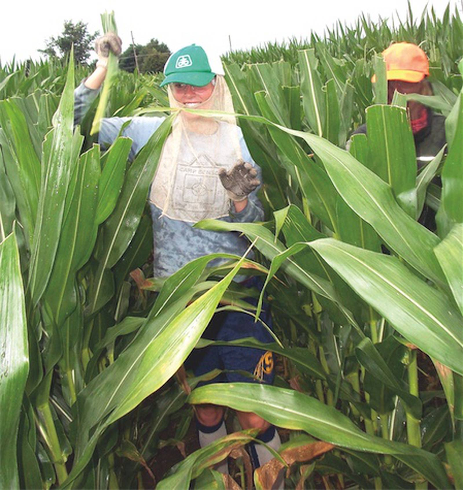 Hot or not, the job can't wait – Shaw Local