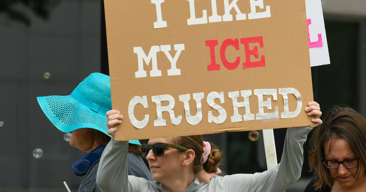 Photos: No Kings Protest in Lisle – Shaw Local