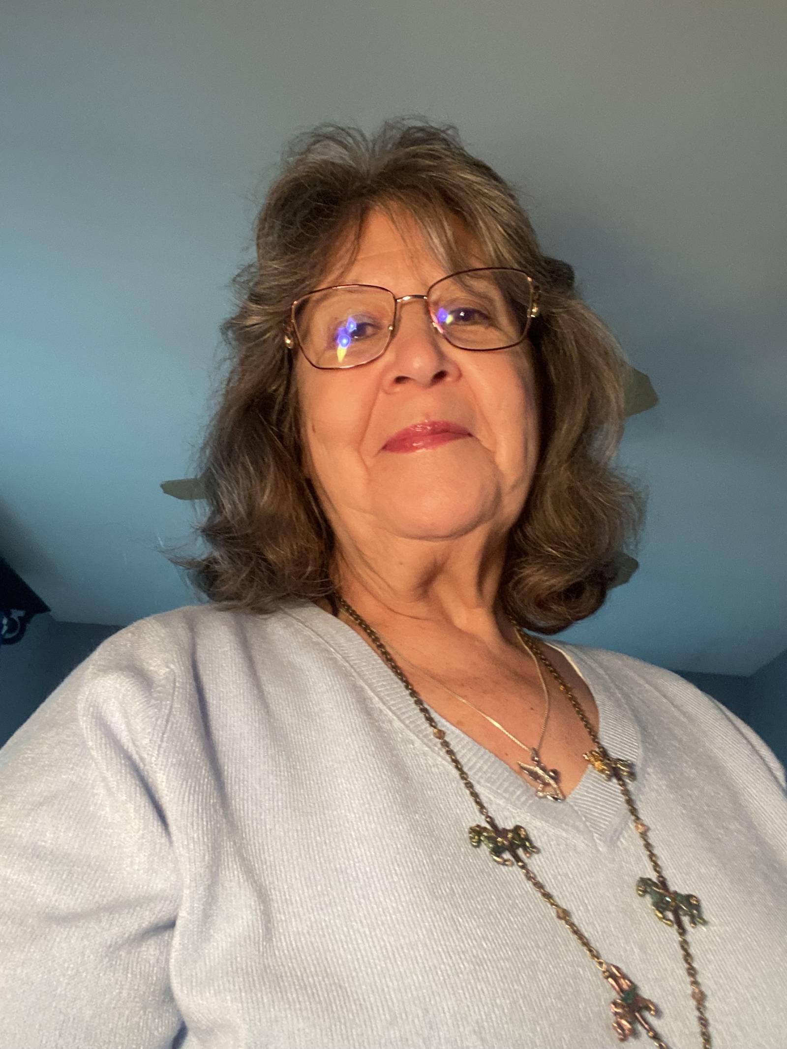 2025 Election Questionnaire: Stacey Pyne, Mayor of Island Lake – Shaw Local