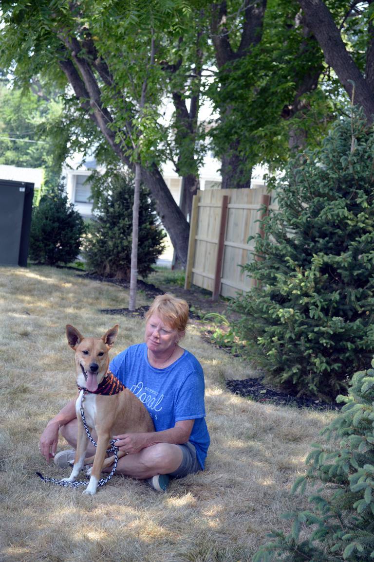 Doughnuts and dogs: Dunkin’ celebrates six months in Dixon – Shaw Local