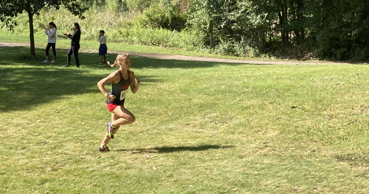 Herald-News Athlete of the Week: Lincoln-Way Central’s Brea Counihan ...