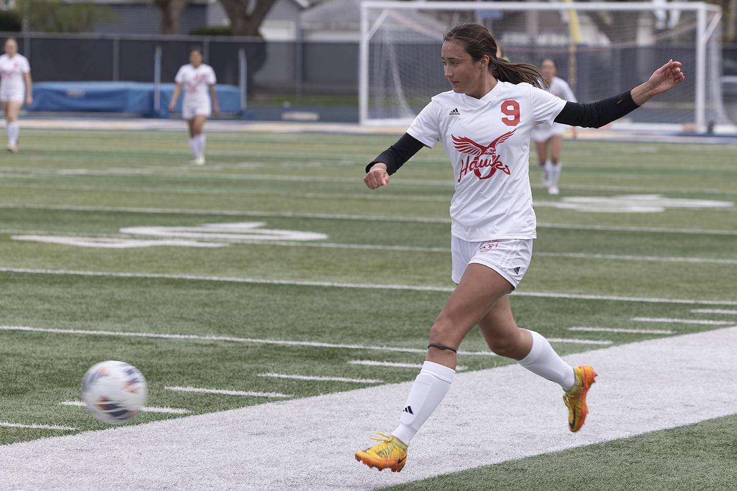 2024 Sauk Valley Media girls soccer preview capsules – Shaw Local