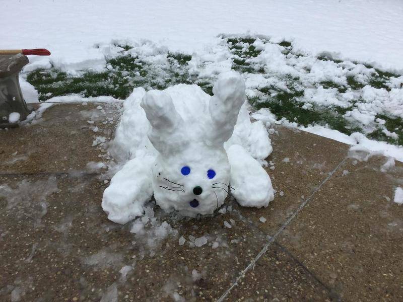 PHOTO: Easter Bunny built in snow – Shaw Local