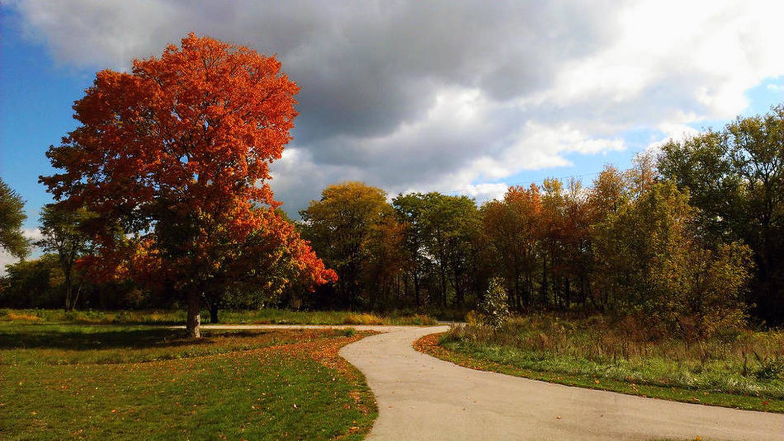 The Forest Preserve District of Will County’s interactive map now ...