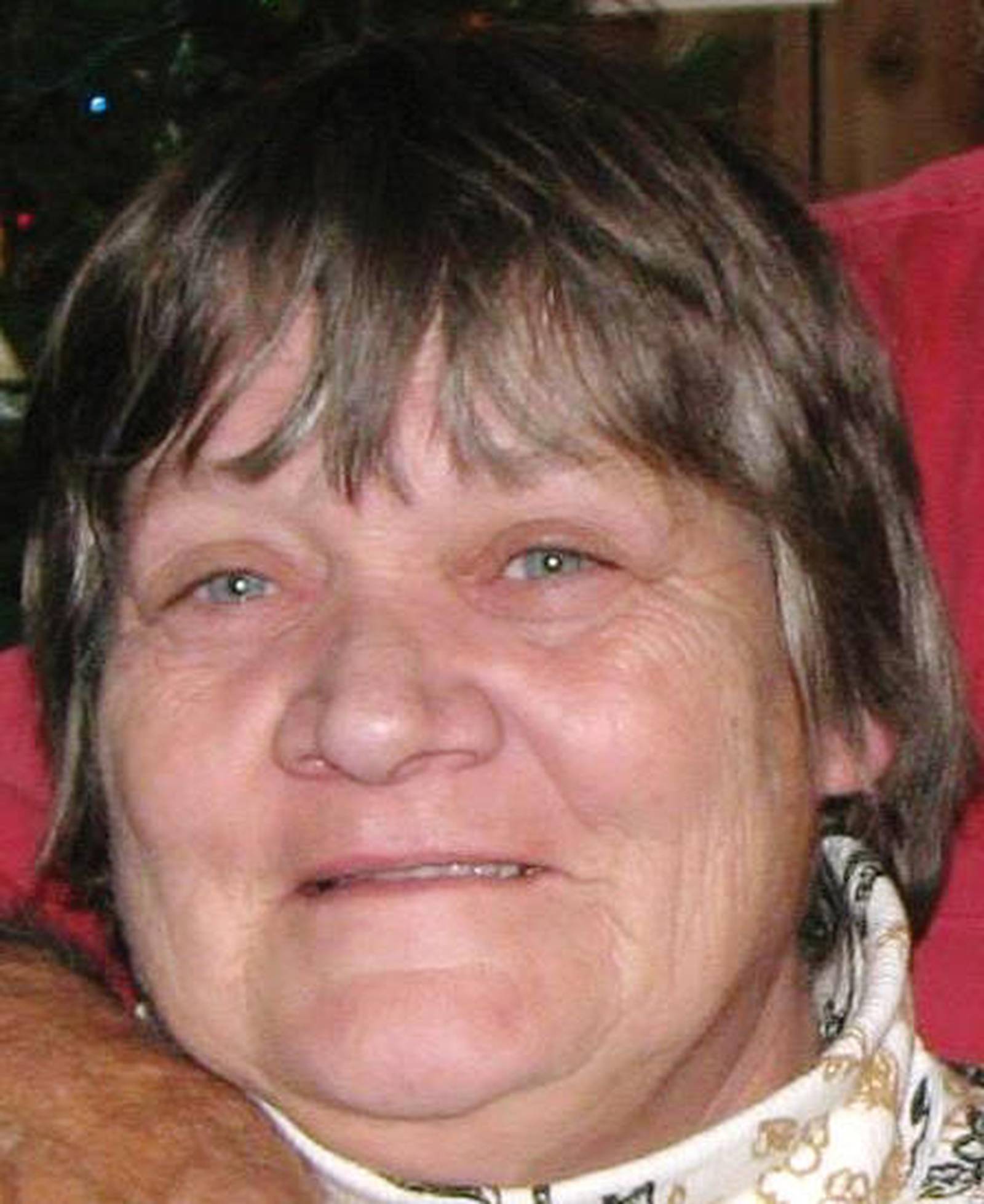 Terry L. Hintz – Shaw Local