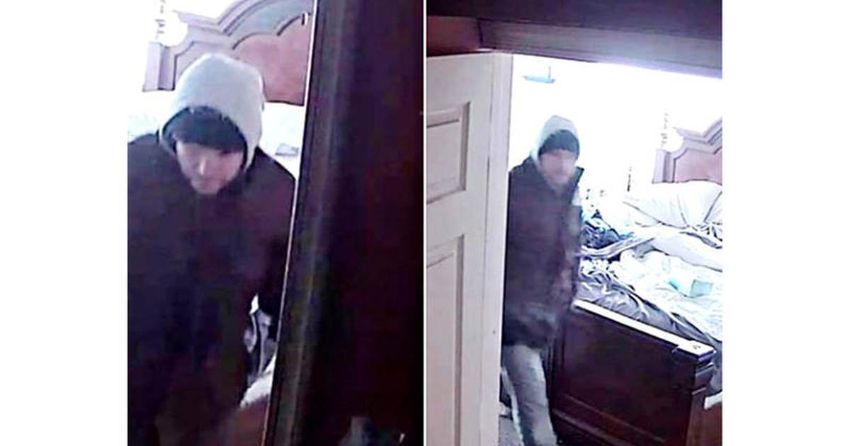 Sterling Police: Local thief caught on homeowner's video – Shaw Local