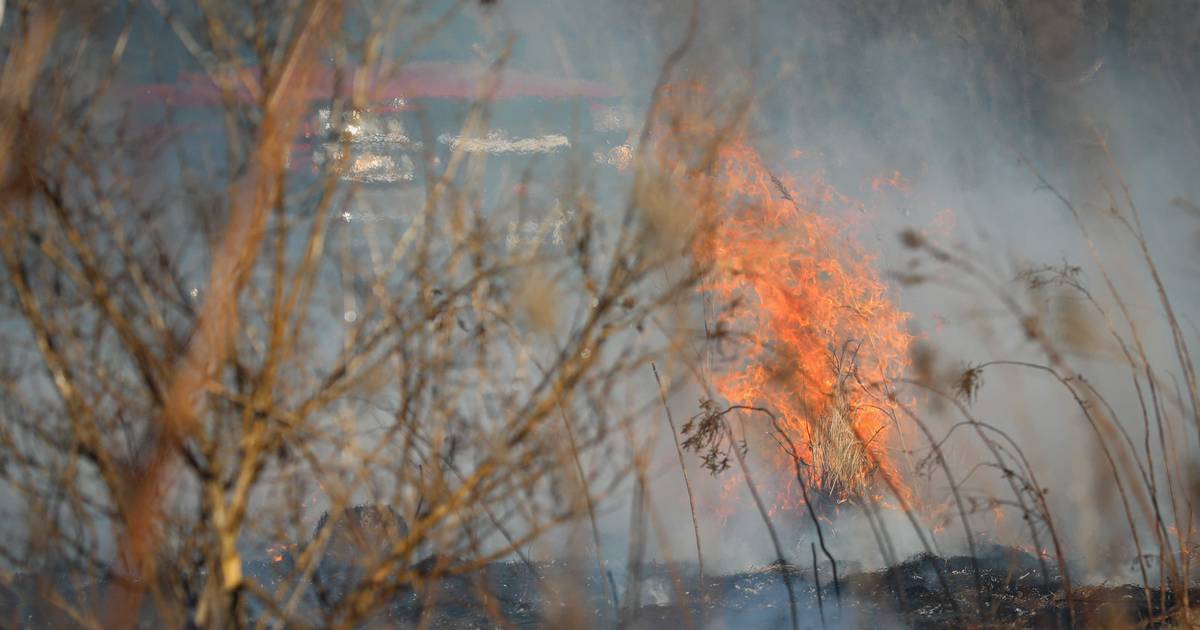 The smoke and fire in Lake in the Hills this week was a prescribed burn ...