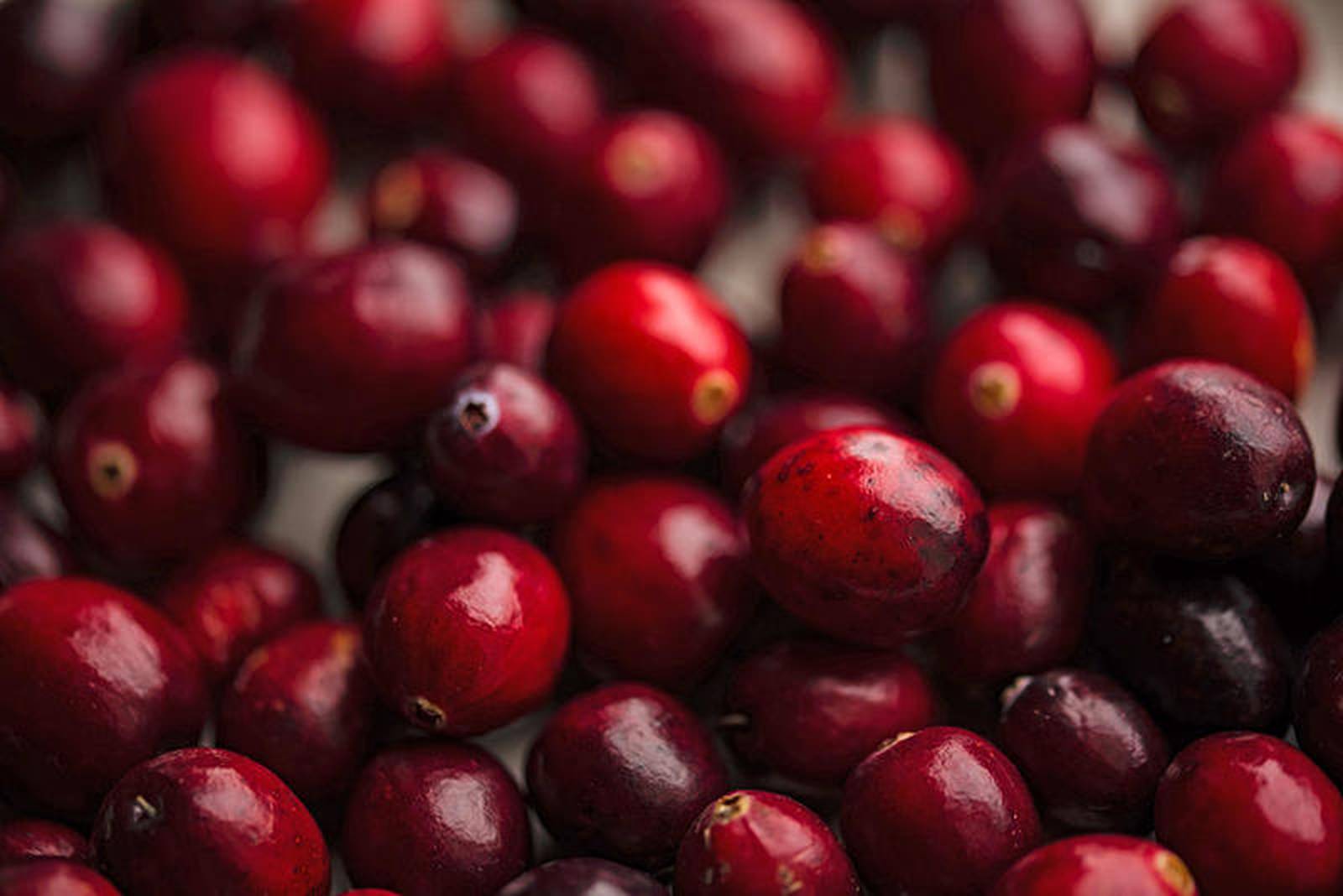 Down the Garden Path: Spice up your November with cranberries – Shaw Local