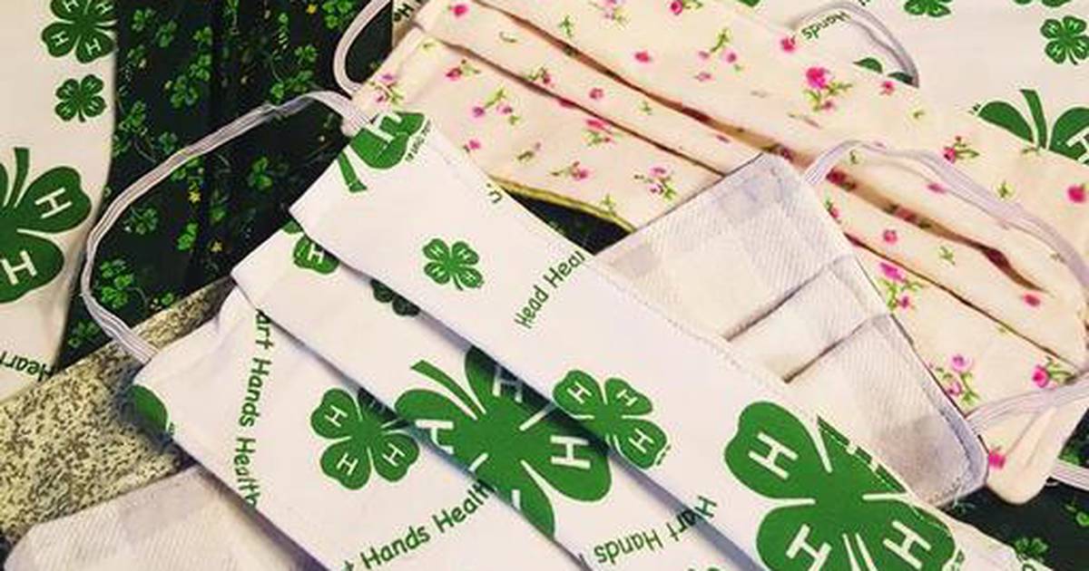4-H’ers help make masks – Shaw Local