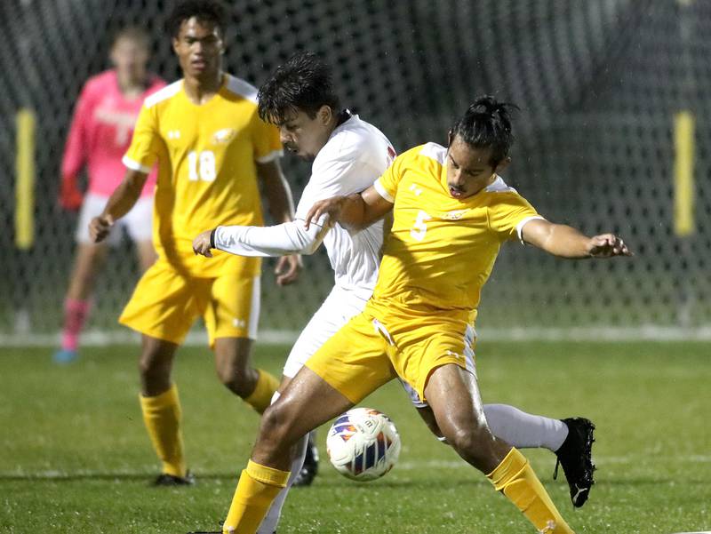 Photos: Dundee-Crown vs. Jacobs soccer – Shaw Local