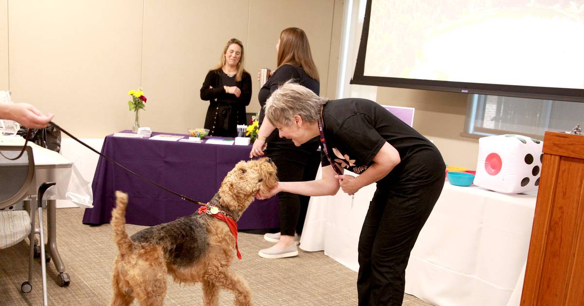 Photos: Nurses Week at Northwestern Medicine Delnor Hospital in Geneva ...