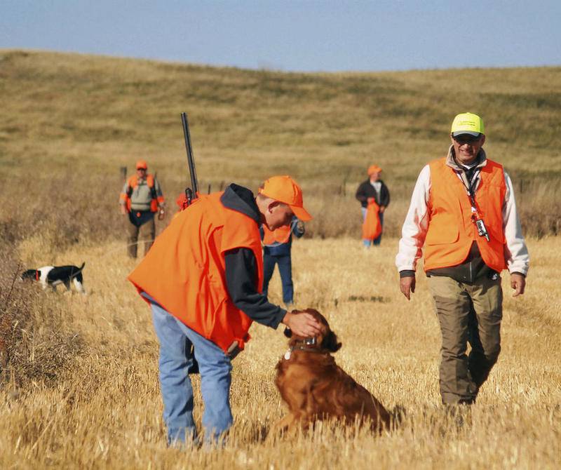 DeKalb police to offer 3-day hunter training course for license seekers ...