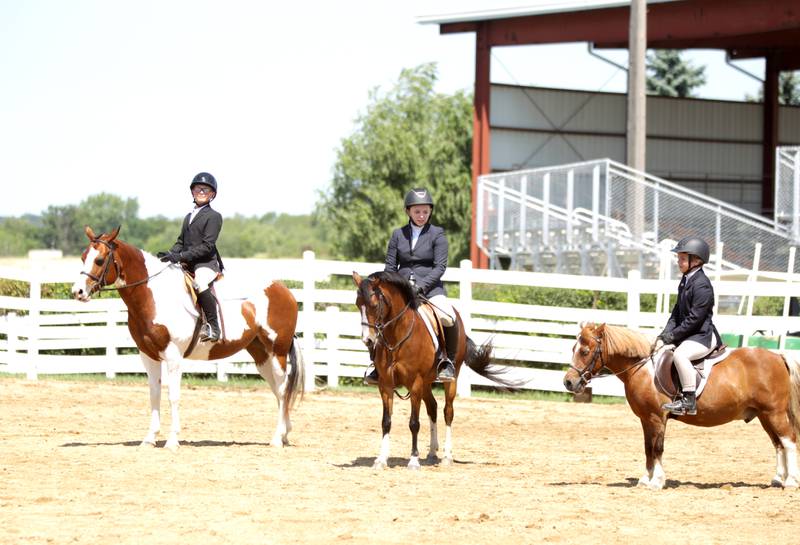 Photos: 4-H Horse and Pony judging at the Kane County Fair – Shaw Local