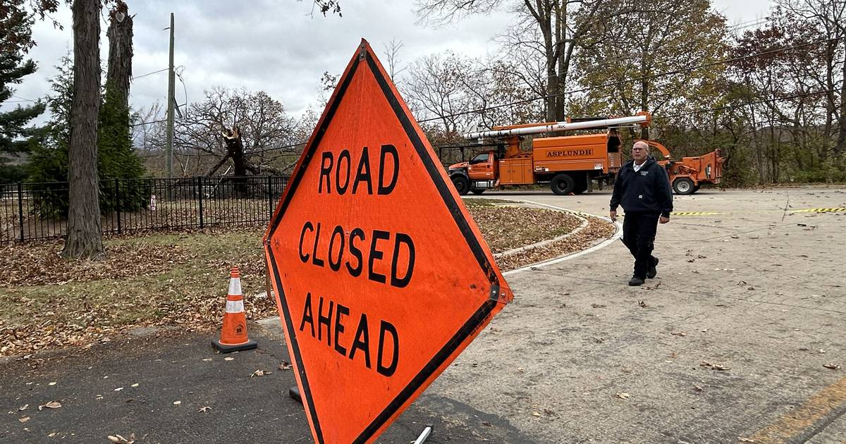 Fallen tree causes closure of Illinois route 2 near Oregon; road ...