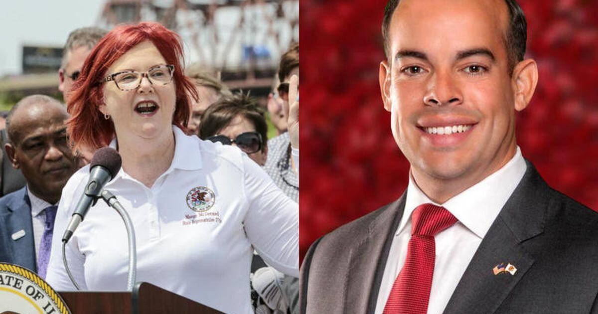 McDermed endorses Ozinga in race for her Illinois House seat – Shaw Local