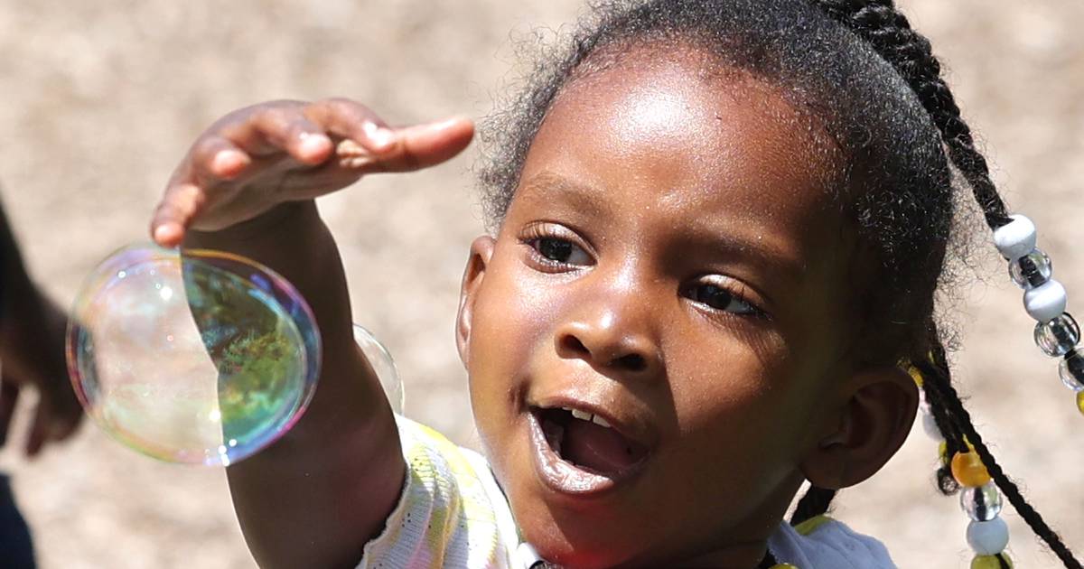 Daily Chronicle named runner-up for best small daily newspaper in ...