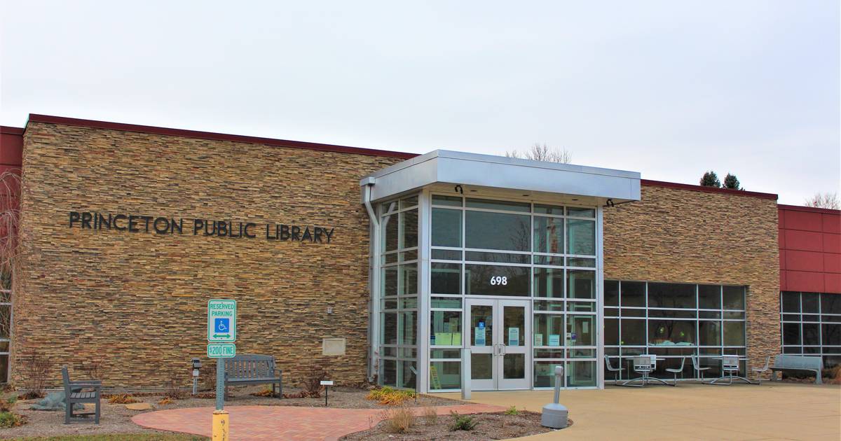 Princeton library to host Zoom talk with author Shari Emami – Shaw Local