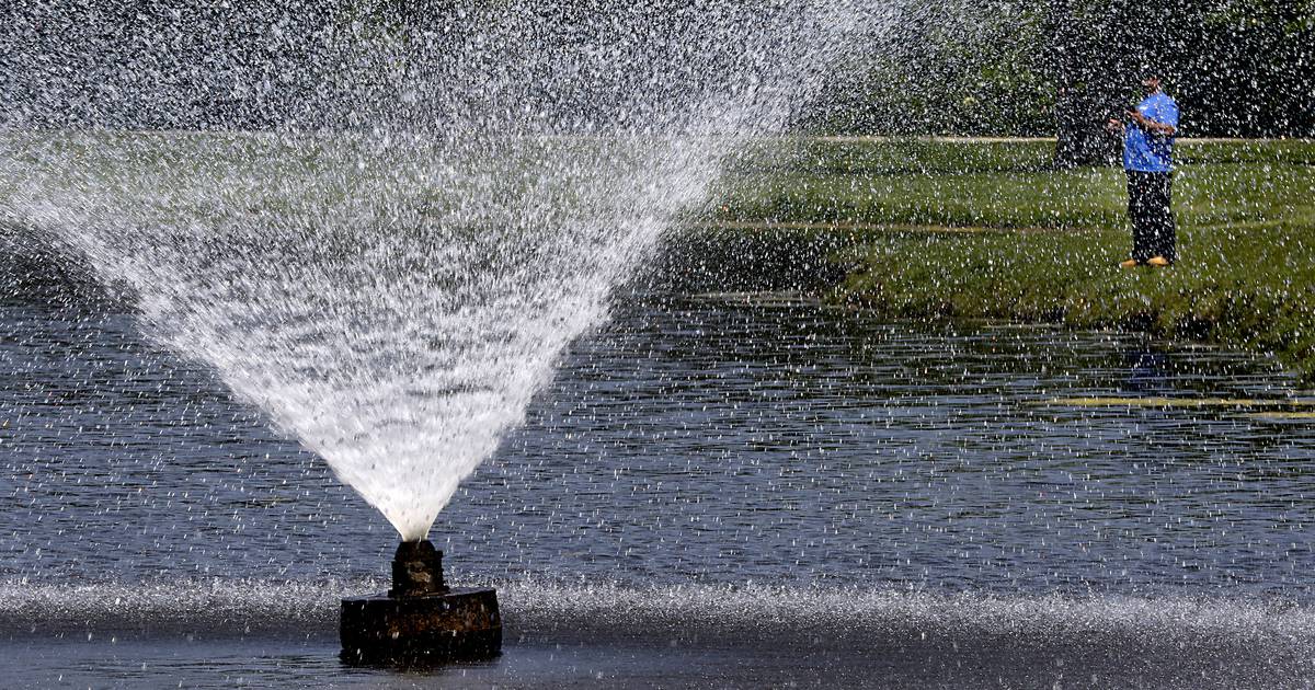 There is poetic beauty and truth in our worlds of water – Shaw Local