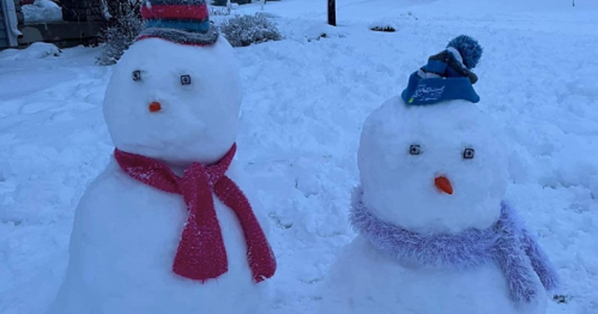 Algonquin Police Department starts snowman competition, encourages ...