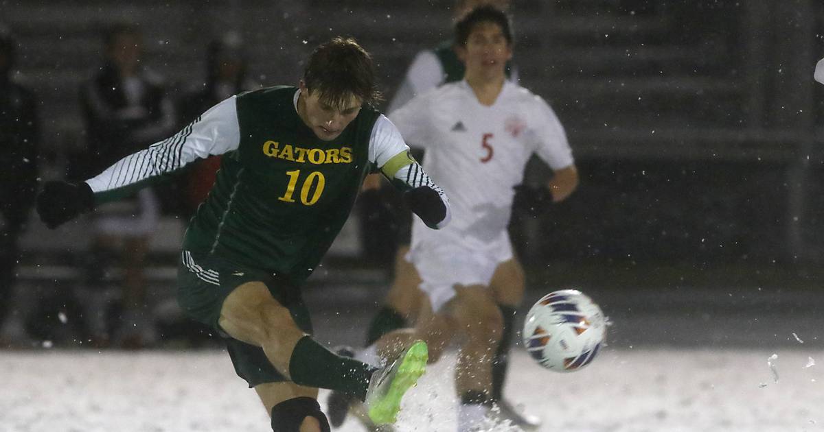 Boys soccer: McHenry County-area players earn 2023 IHSSCA honors – Shaw ...