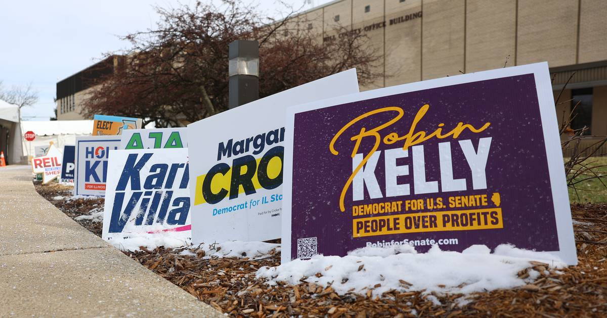 Here are Will County’s unofficial March 2026 primary election results ...