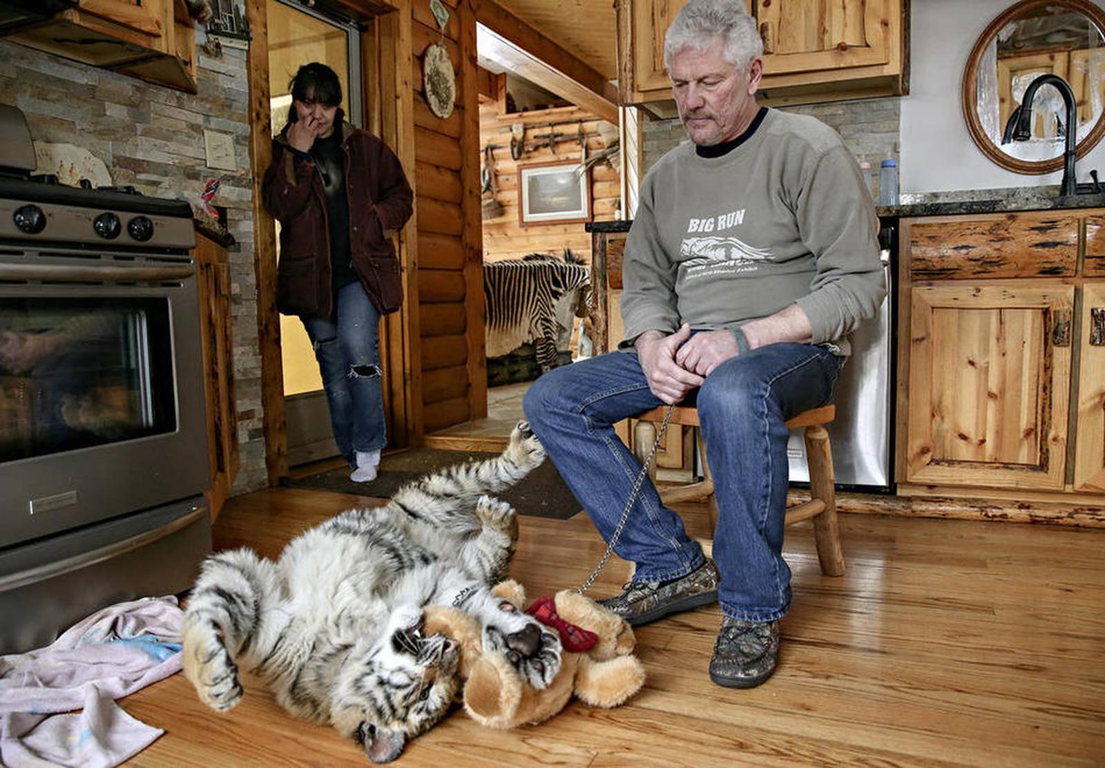 Lockport's Big Run Wolf Ranch reopens – Shaw Local