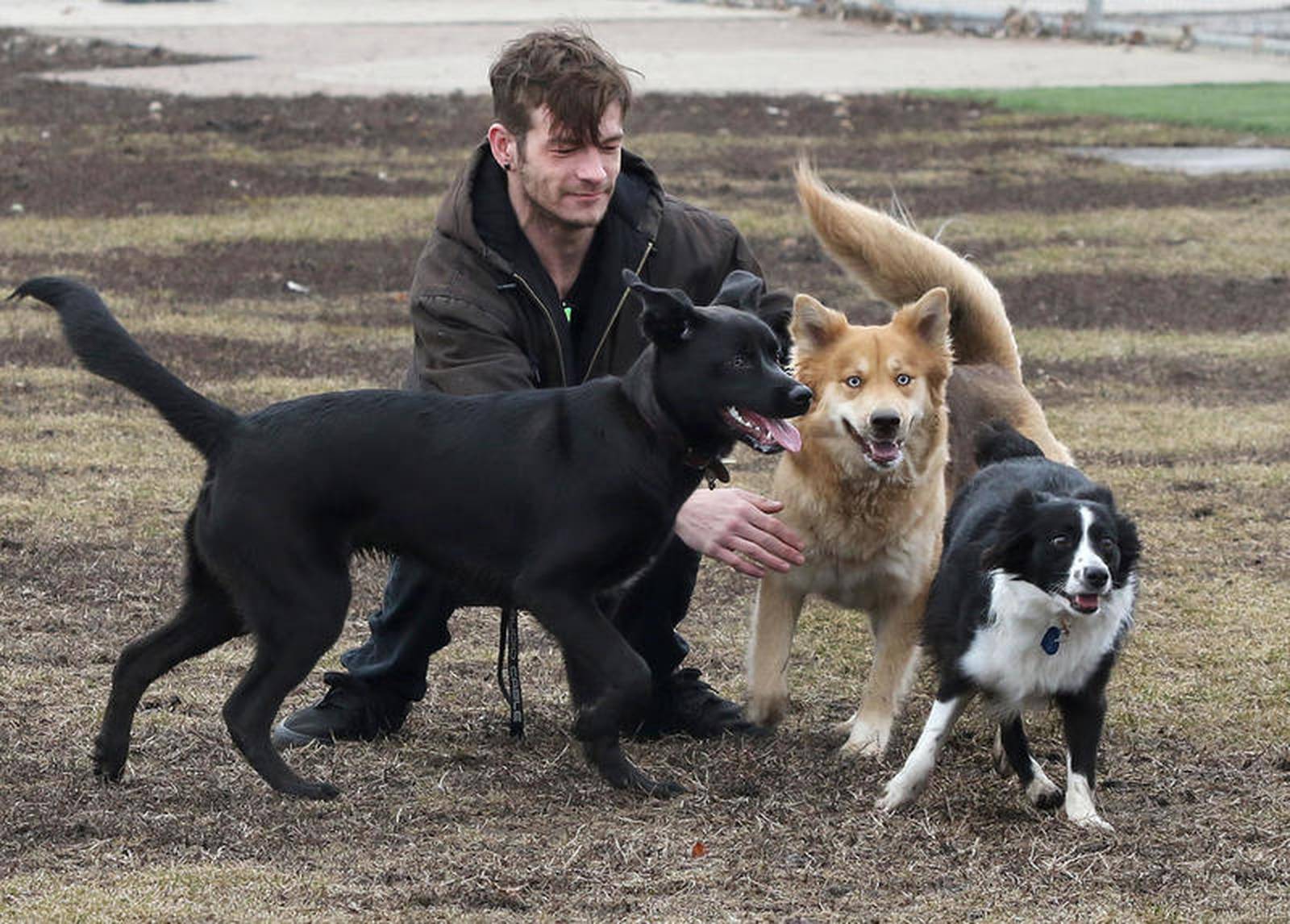 Dog day, afternoon as Katz Park reopens in DeKalb – Shaw Local