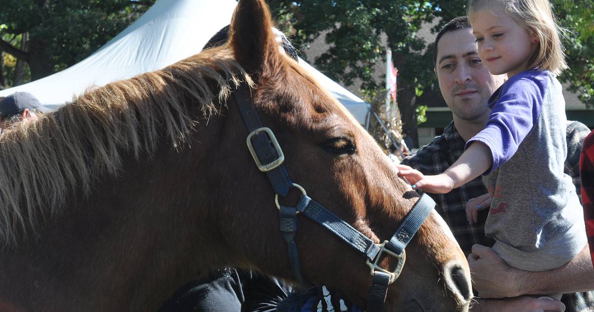 Two-day Fall Festival at Danada to return to Wheaton – Shaw Local