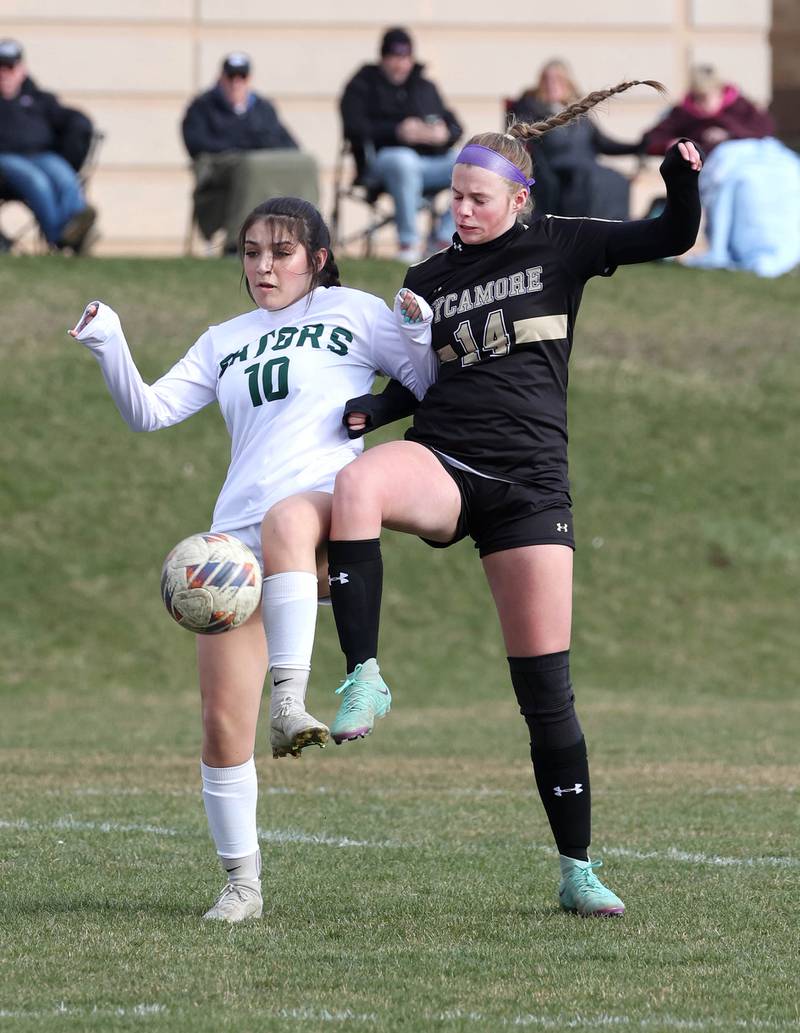 Photos: Sycamore girls soccer hosts Crystal Lake South – Shaw Local