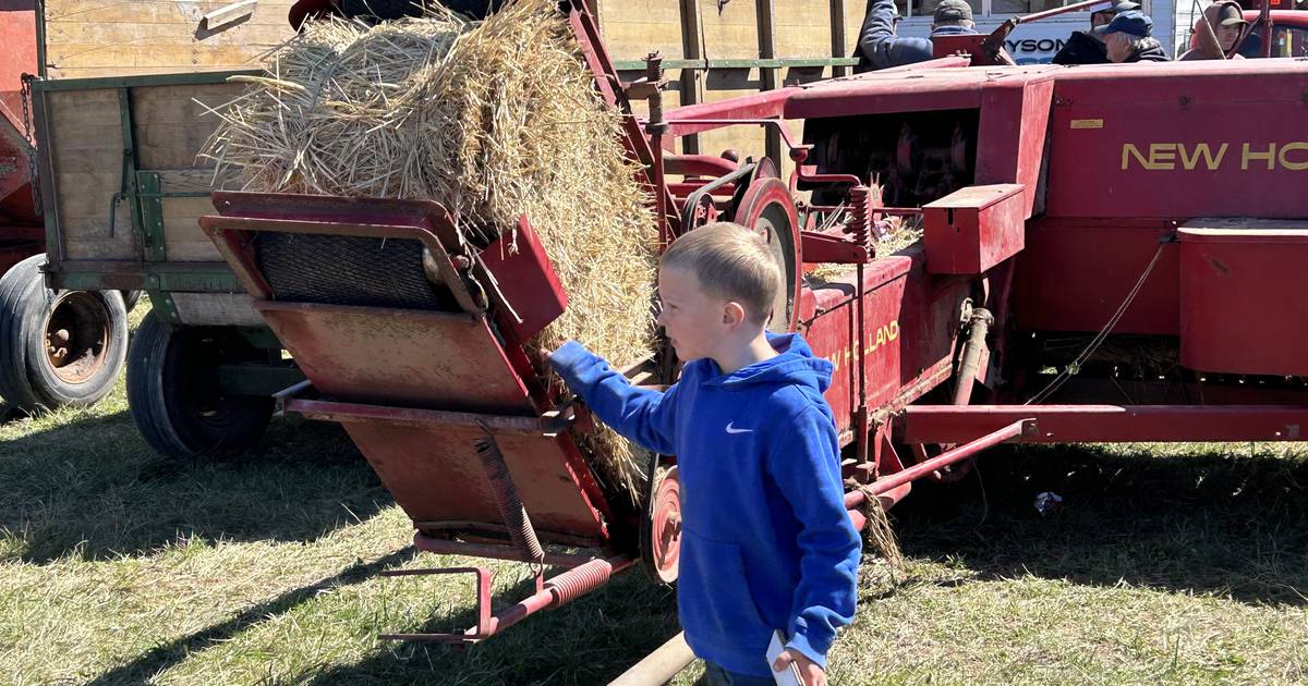 Photos: Hazelhurst Consignment Auction – Shaw Local