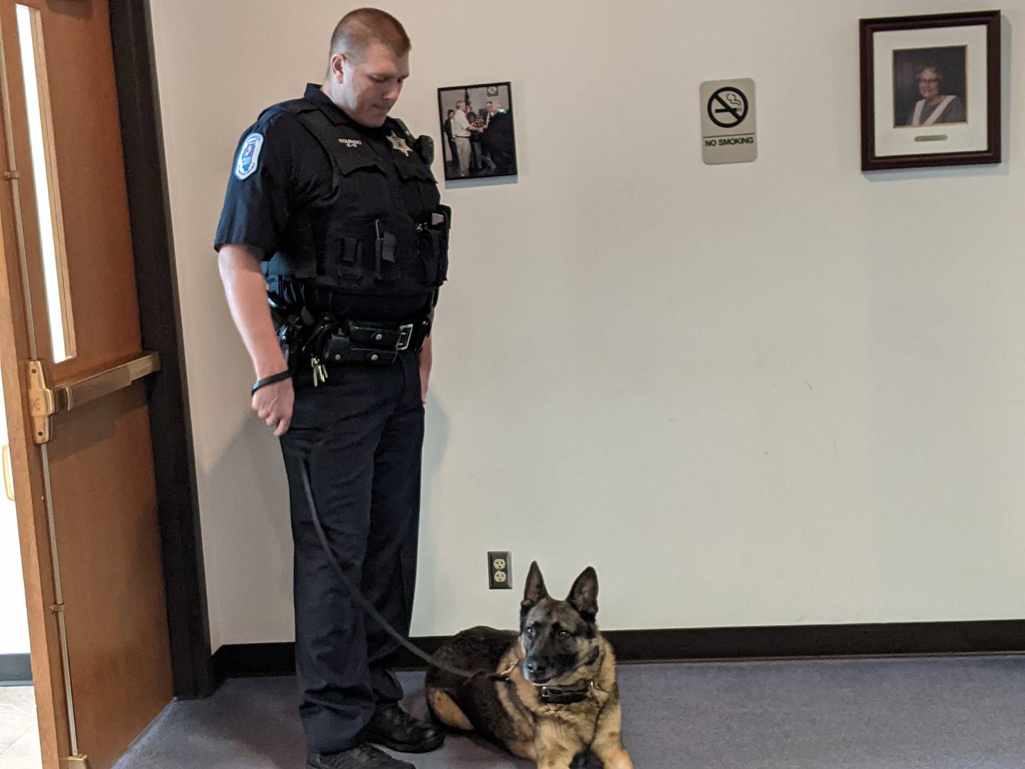 Sandwich Police Department moving ahead to acquire new police dog ...